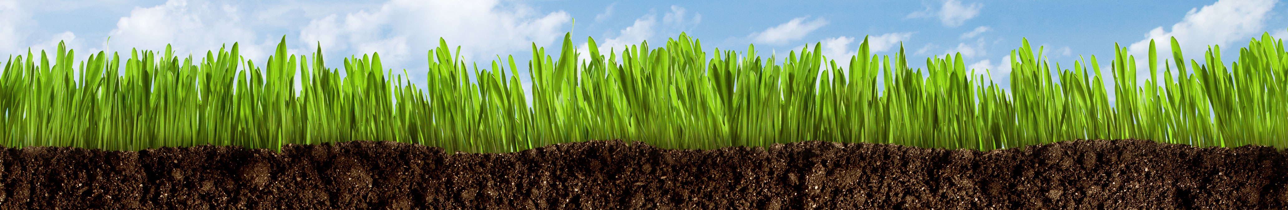 all_turf2 - The Aquatrols Company